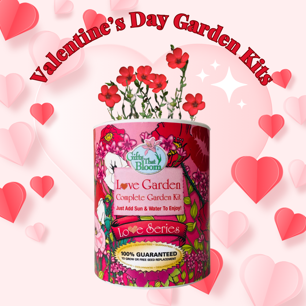 Valentine's Day Garden Kits - Gifts That Bloom – Page 2