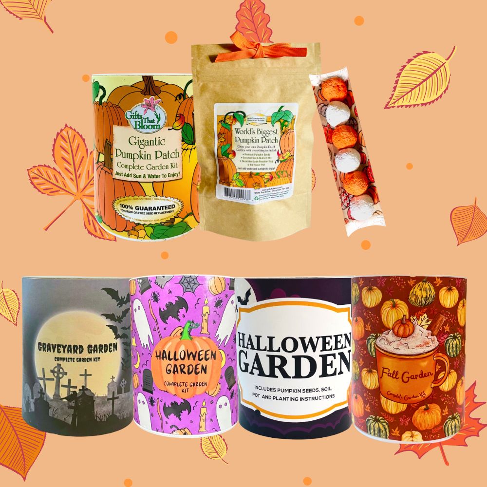 Fall Products - Gifts That Bloom